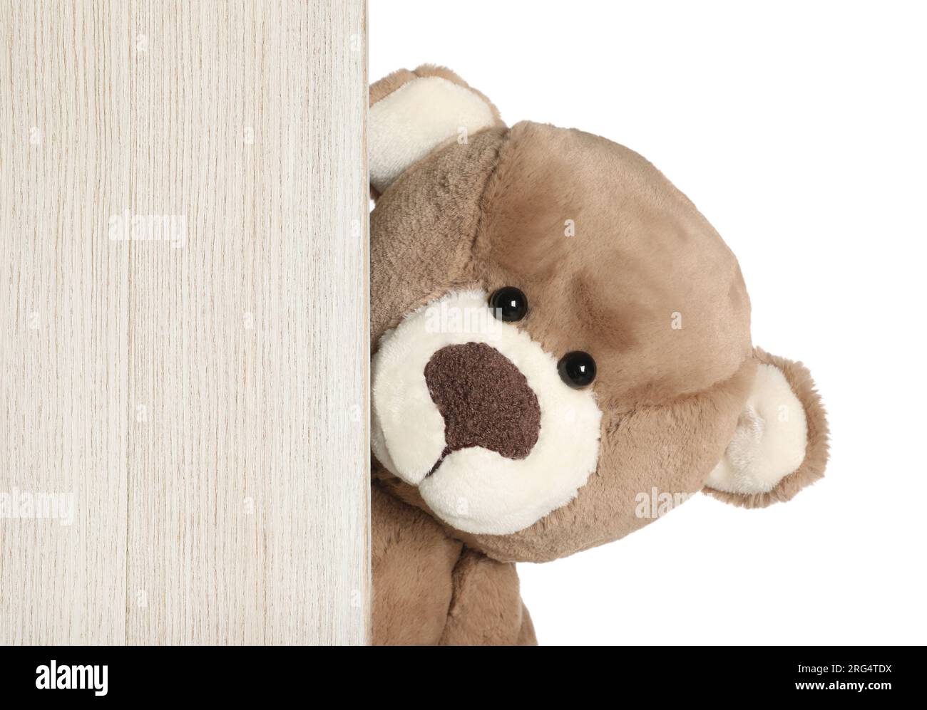 Cute teddy bear peeking out of wooden board on white background Stock ...