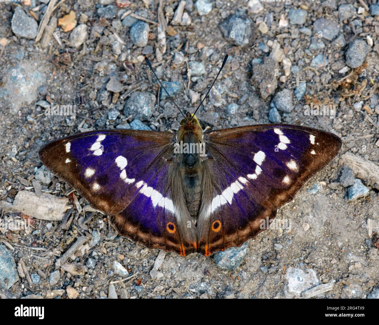Taking minerals from the ground hi-res stock photography and images - Alamy