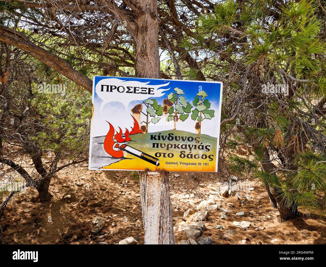 Forest fire prevention policy, Syros island, Greece, Southern Europe ...