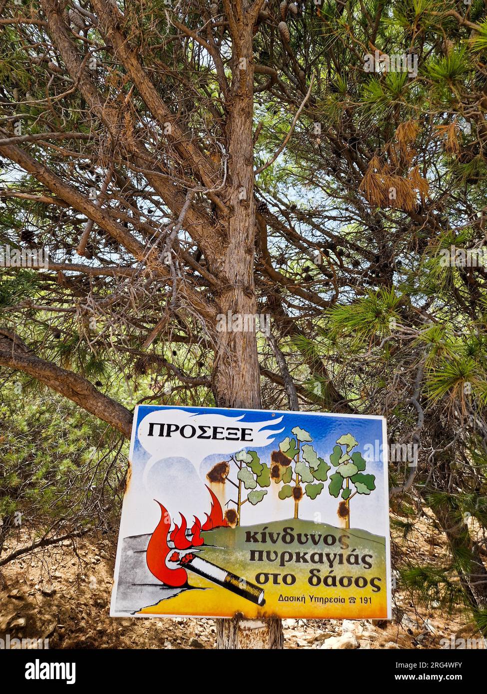Forest fire prevention policy, Syros island, Greece, Southern Europe ...