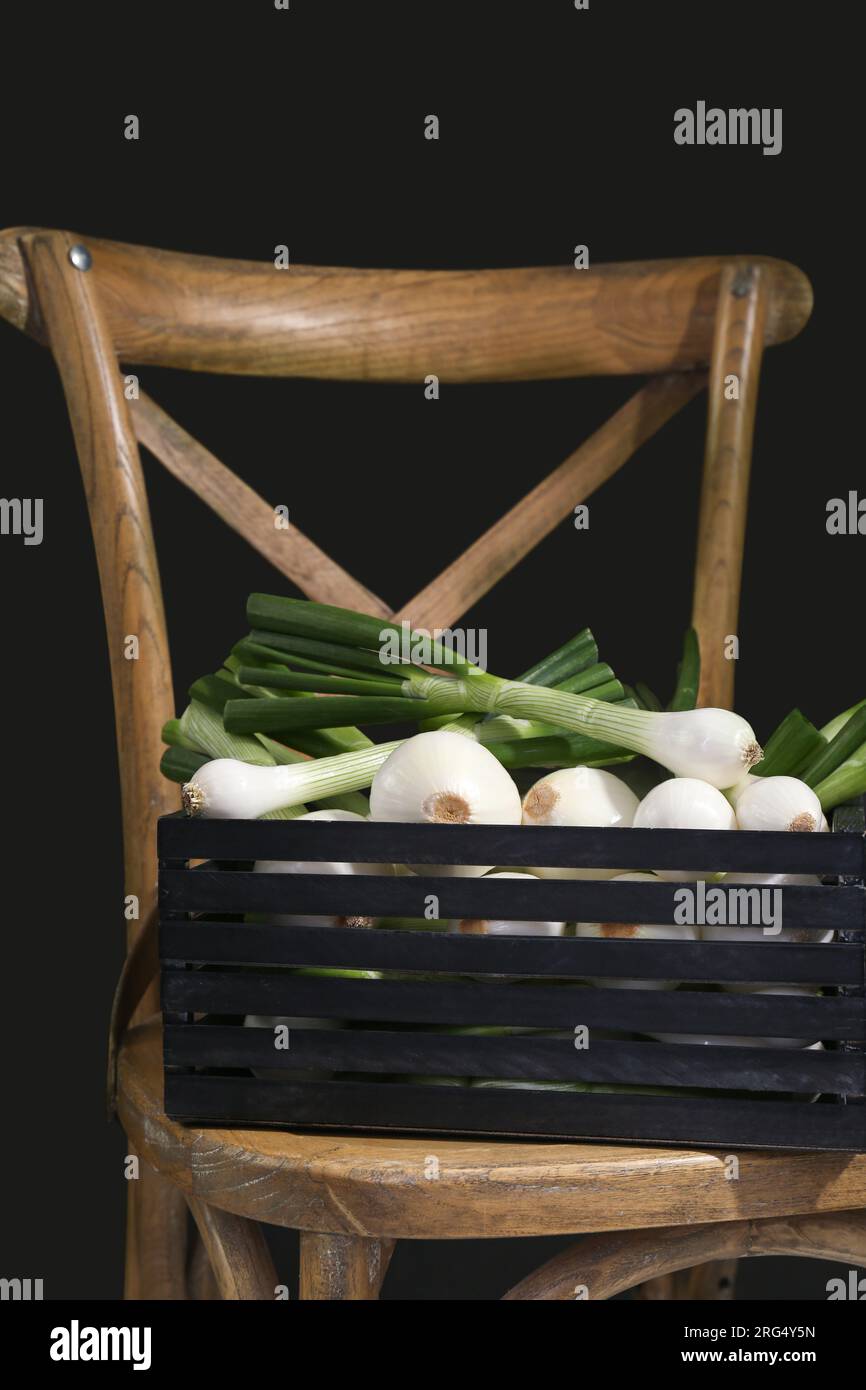 Crate with green spring onions on chair against black background Stock ...
