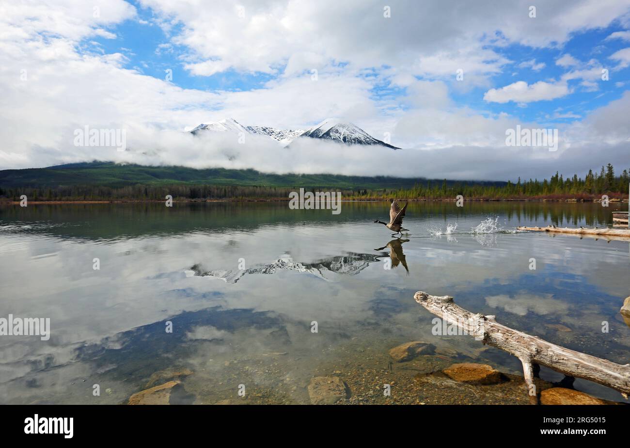Taking in view banff hi-res stock photography and images - Alamy