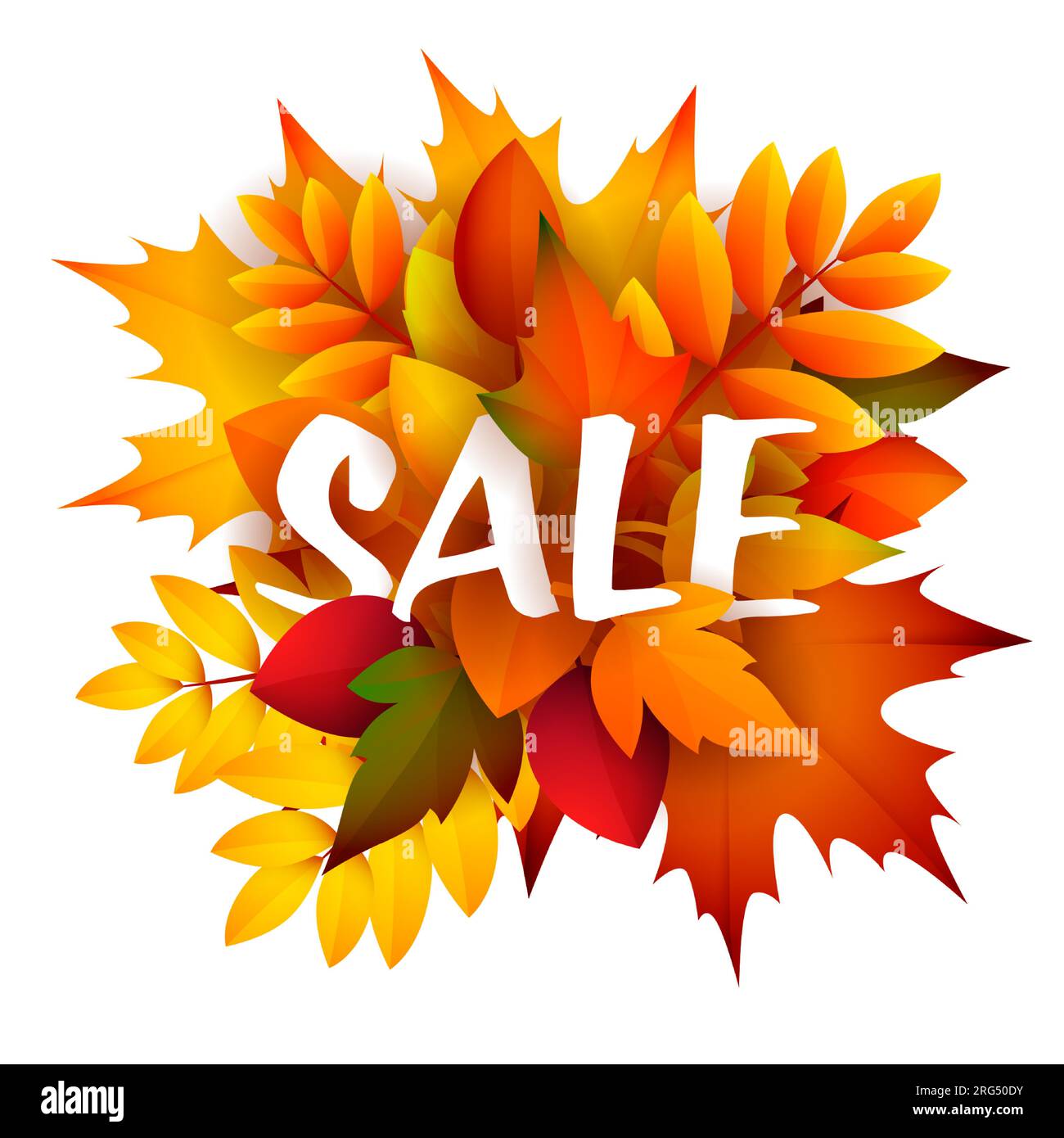 Sale seasonal poster design with bunch of leaves Stock Vector Image ...