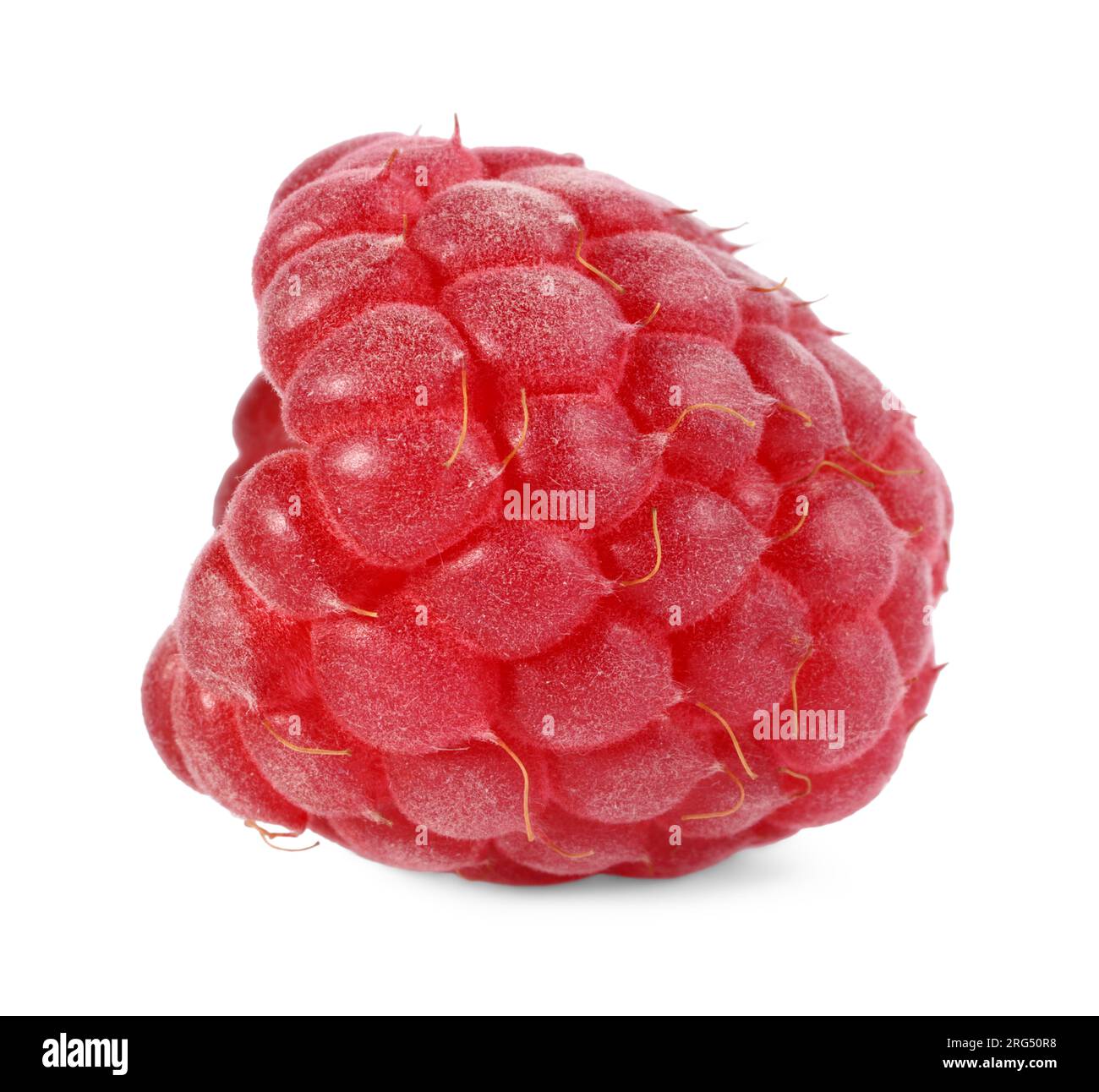 One tasty ripe raspberry isolated on white Stock Photo - Alamy