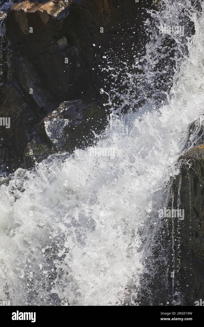 Water pouring over a waterfall in sunshine, at Welcombe Mouth, Hartland ...