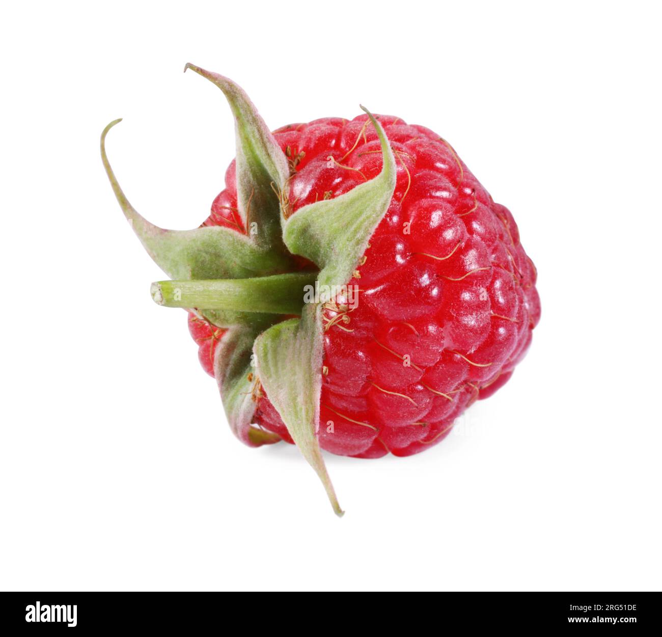 One tasty ripe raspberry isolated on white Stock Photo - Alamy