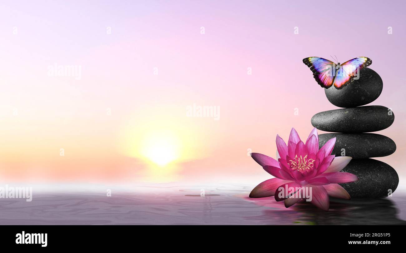 Peace and harmony. Stacked stones, lotus flower in water and beautiful ...