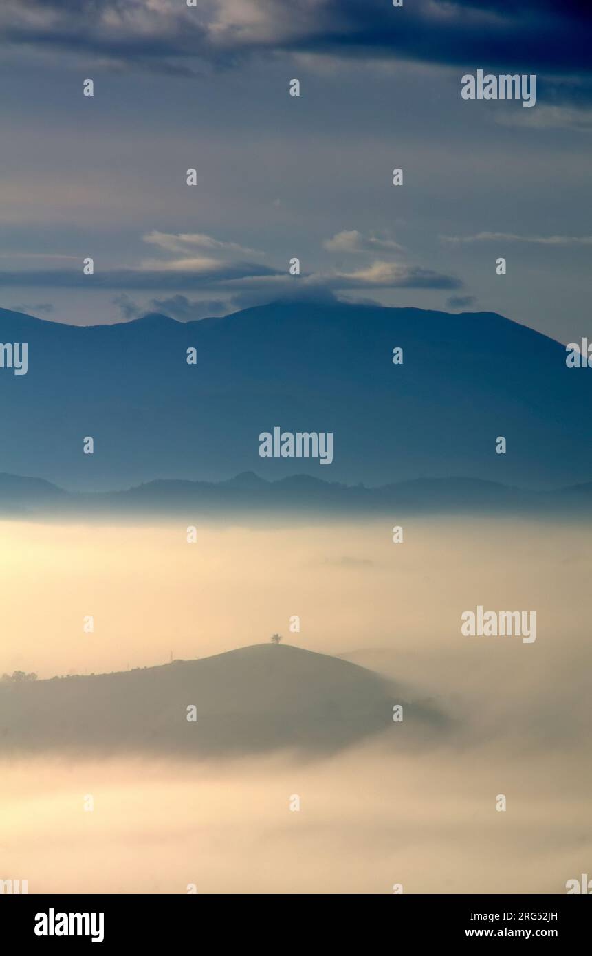 Cielo del mattino hi-res stock photography and images - Alamy