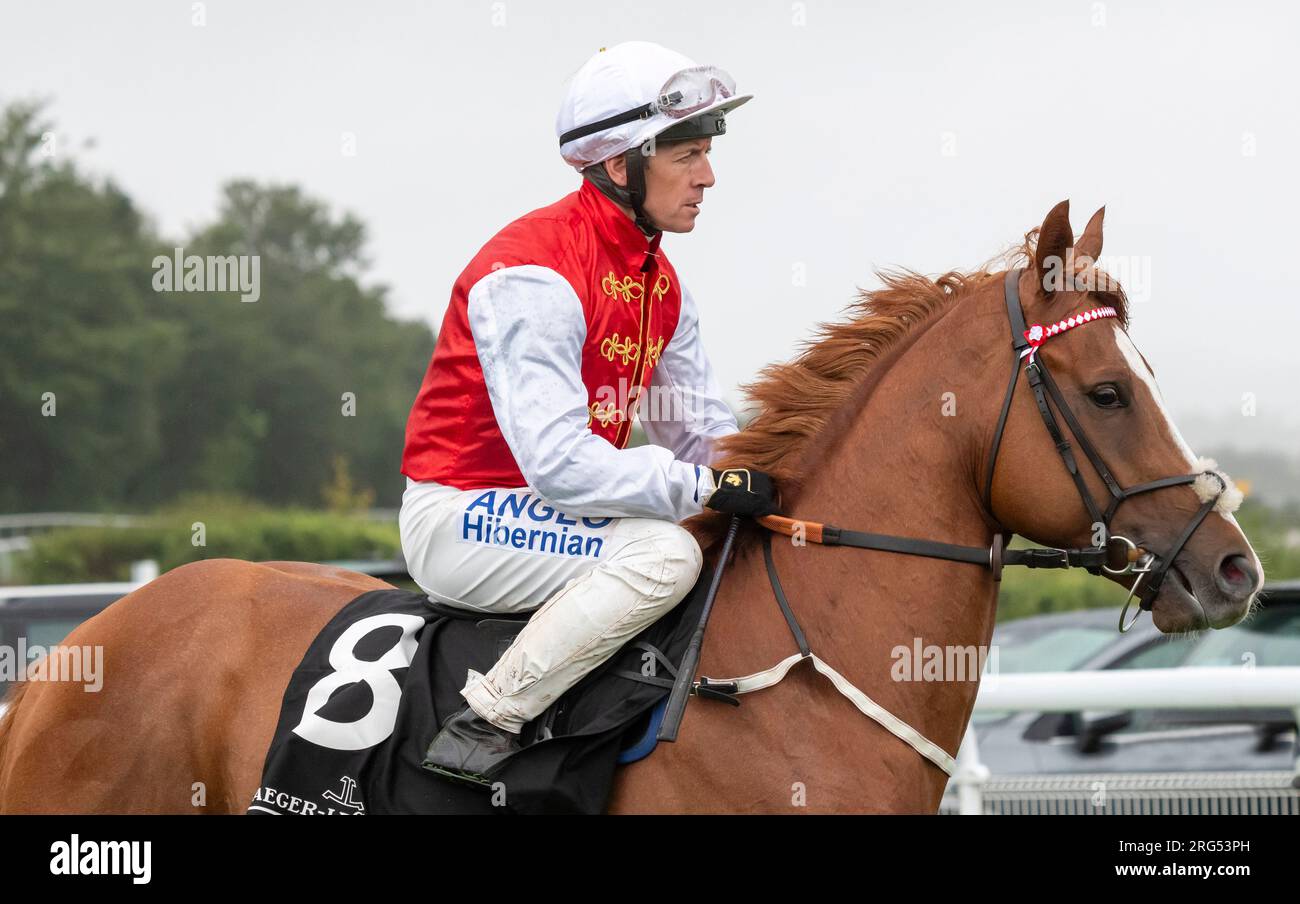 Jockey jim crowley riding hi-res stock photography and images - Alamy