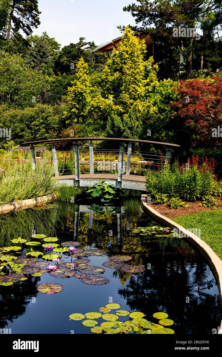 Pond and bridge, Royal Botanical Gardens Hamilton Ontario Canada Stock ...