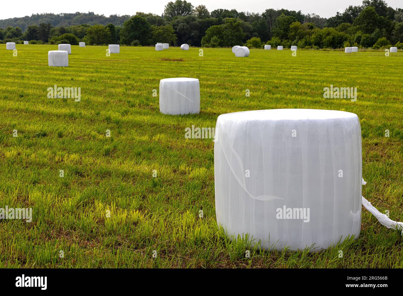 Silage wrapping material hi-res stock photography and images - Alamy