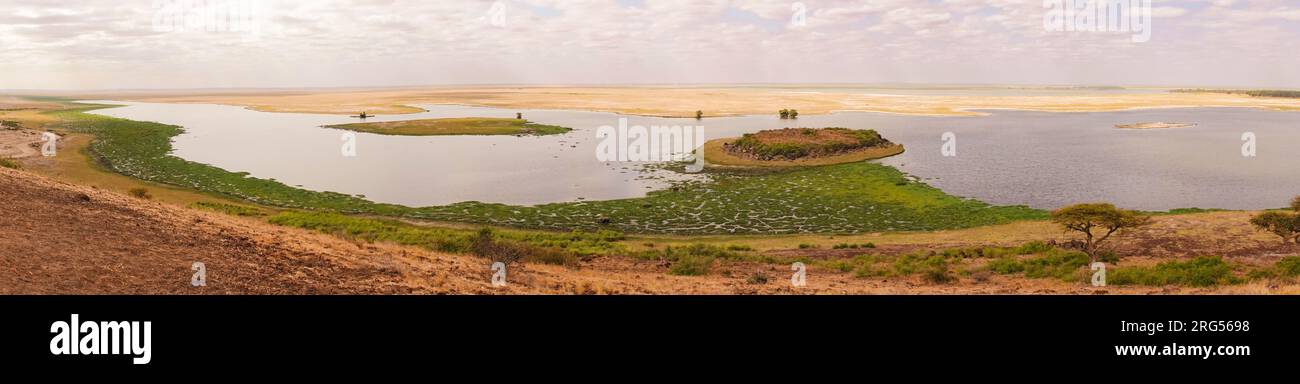 Panoramic Aerial view of the Enkongo Narok Swamp at Amboseli National ...