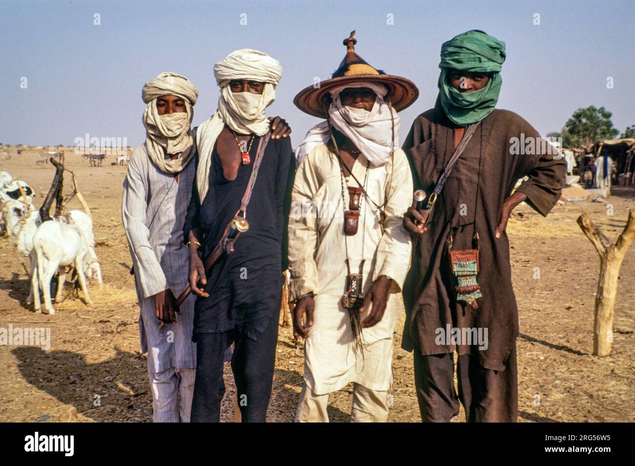 Tuaregs in the desert sun-drenched, resilience, cultural, tradition ...