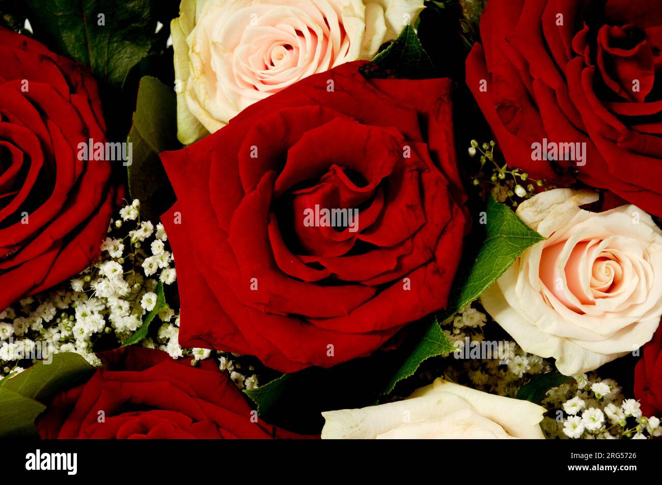 Flower bouquet of red and pink roses Stock Photo - Alamy