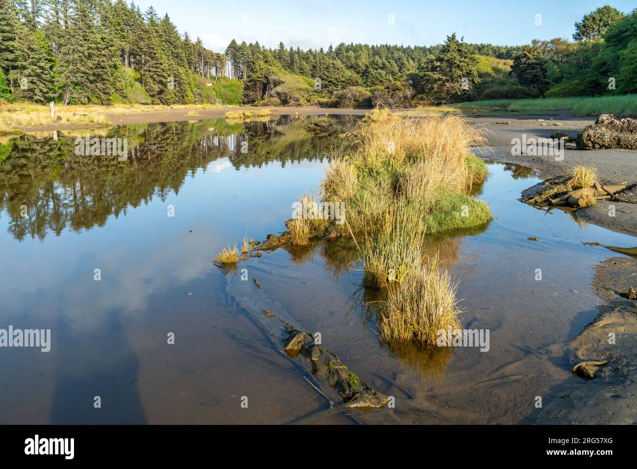 A landscape photo of the Moclips River in Washington State Stock Photo ...