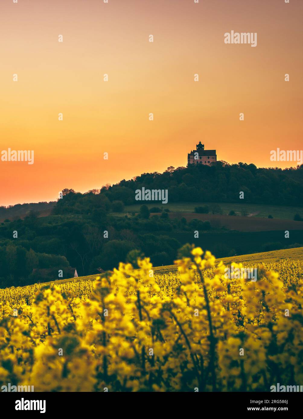 The Ronneburg in Germany in a great landscape photo. Beautiful fields ...