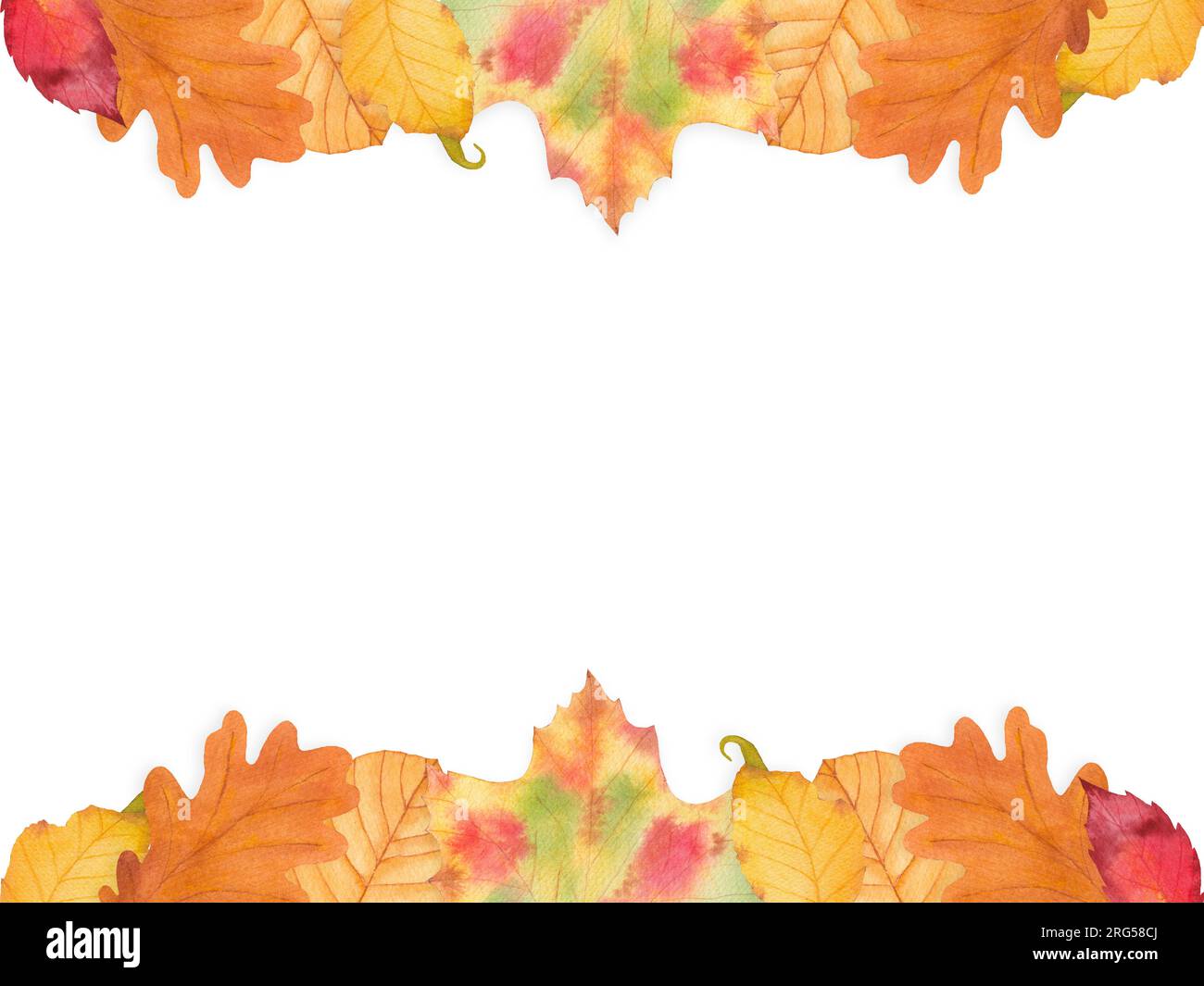 Watercolor Autumn Fall border. Leaf frame. Botanical illustration ...