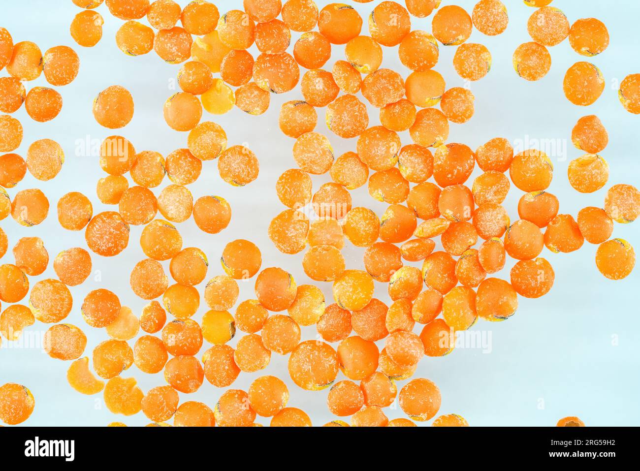 Genus vigna hi-res stock photography and images - Alamy