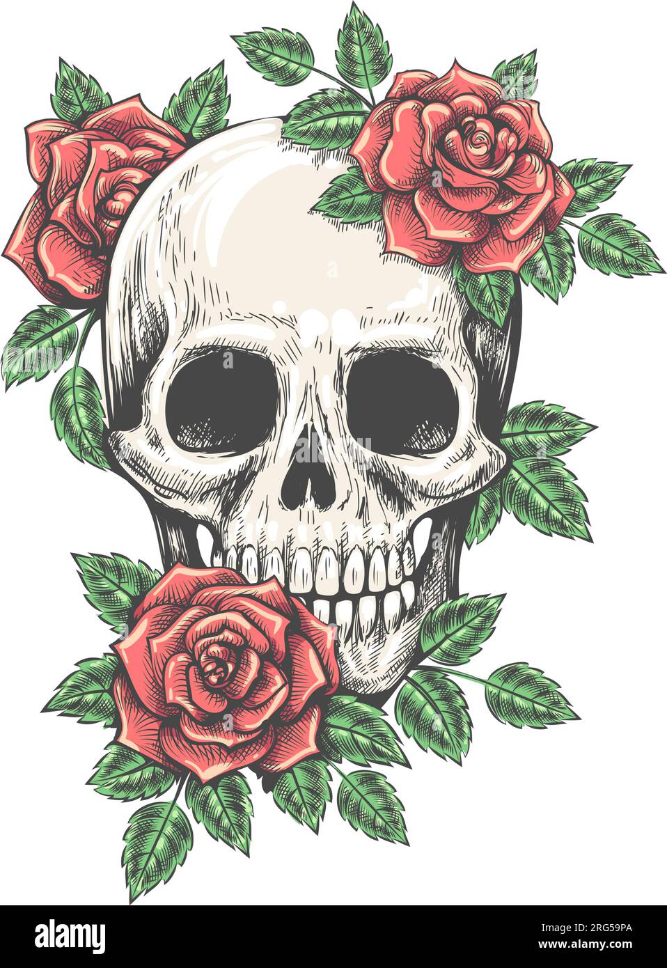 Rose skull tattoo sketch Stock Vector Image & Art - Alamy