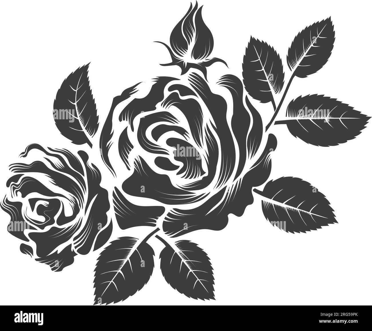 Hand drawn roses branch Stock Vector Image & Art - Alamy