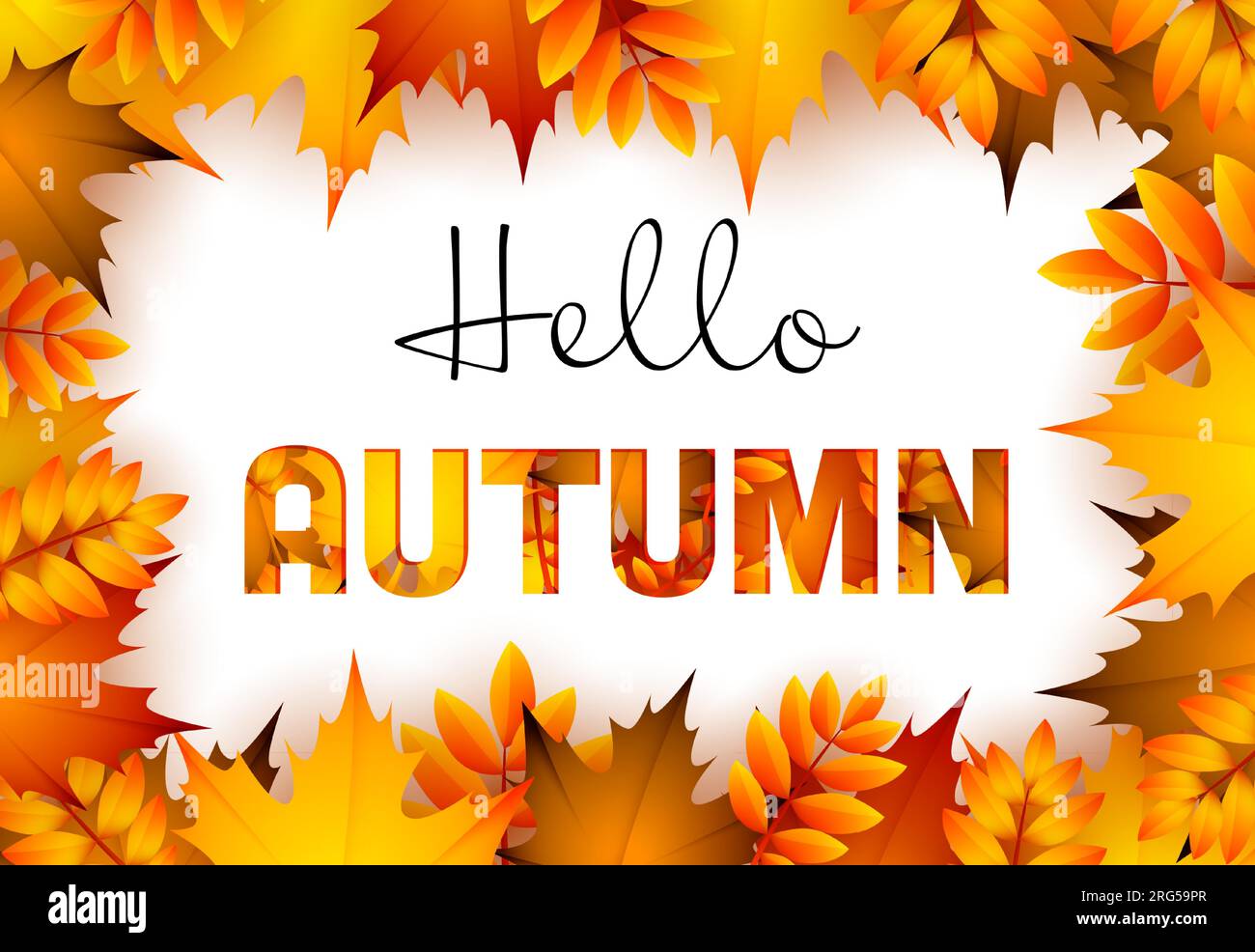 Hello autumn seasonal banner design Stock Vector Image & Art - Alamy