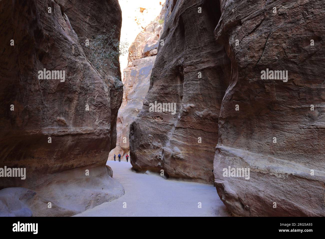 the Al-Siq, the Main Entrance Canyon to Petra, Jordan, Middle East ...