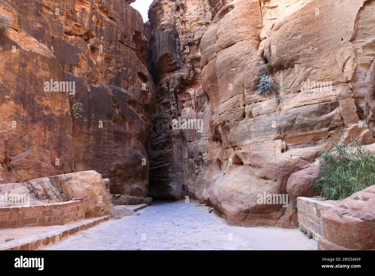 the Al-Siq, the Main Entrance Canyon to Petra, Jordan, Middle East ...