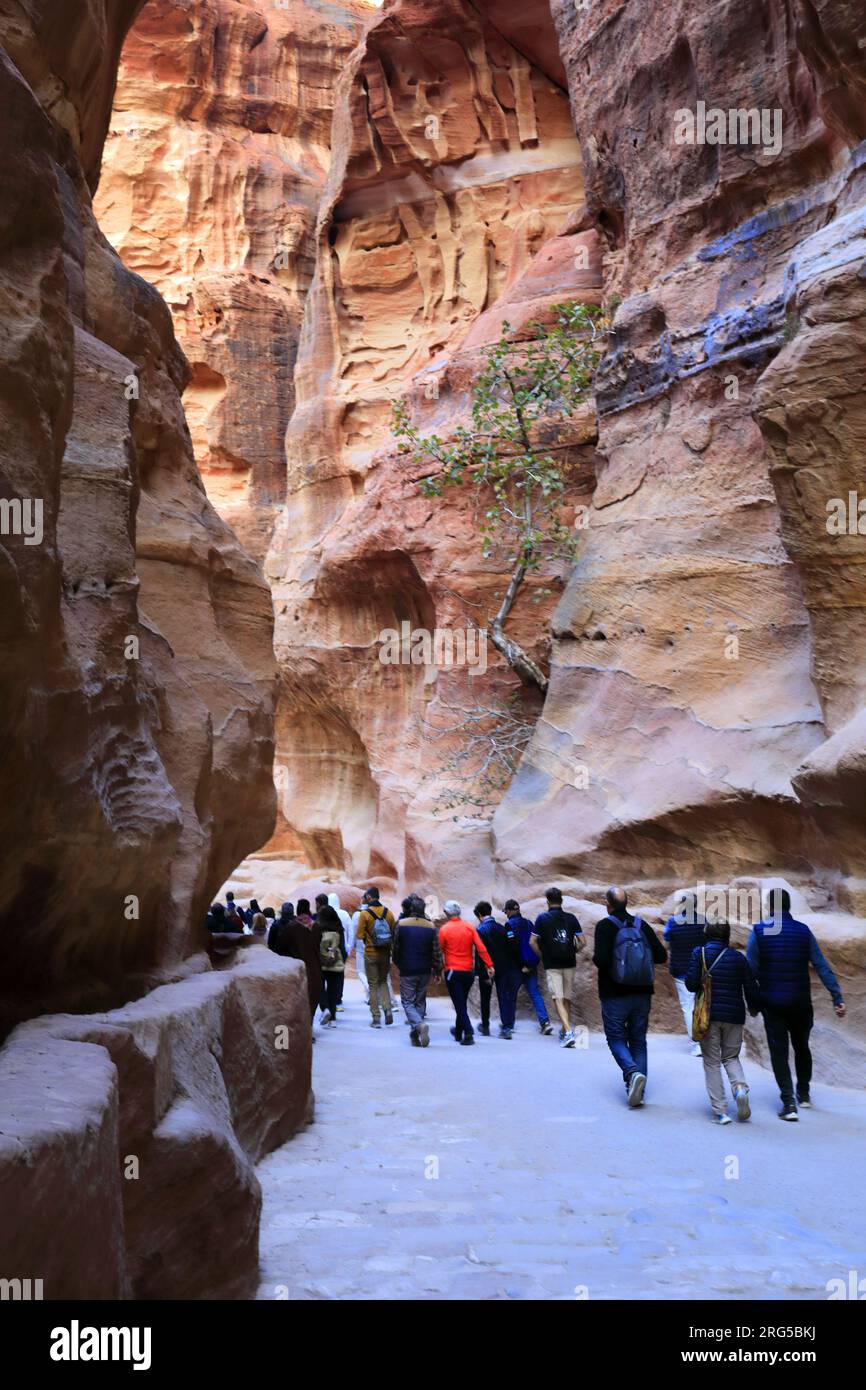 People walking along the Al-Siq, the Main Entrance Canyon to Petra ...