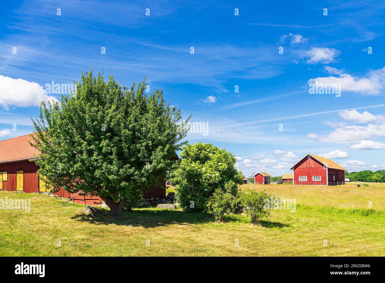Red wooden buildings on the island Slado in Sweden Stock Photo - Alamy