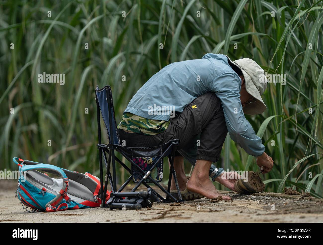Sole less hi-res stock photography and images - Alamy