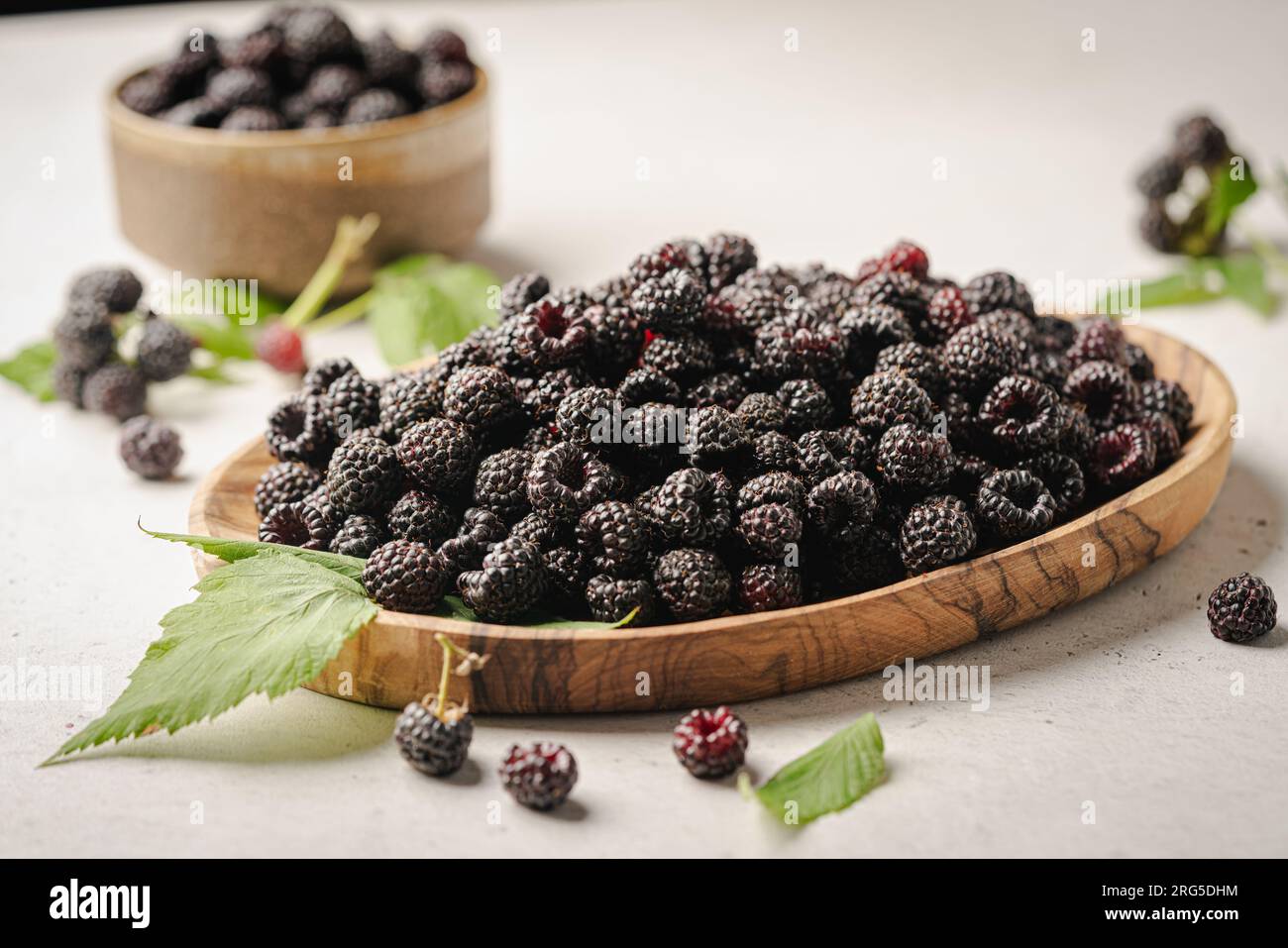 Cumberland black raspberry berry hi-res stock photography and images ...