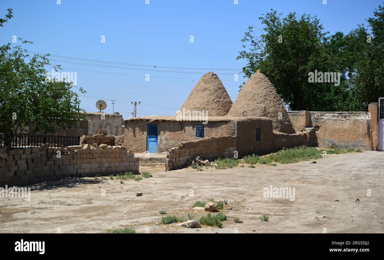Harran district, located in the city of Sanliurfa in Turkey, is a ...