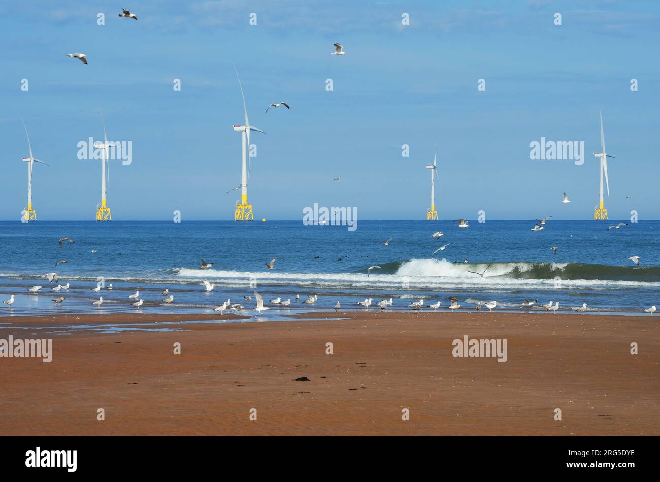 Aberdeen Offshore Wind Farm, among the world's most powerful floating ...