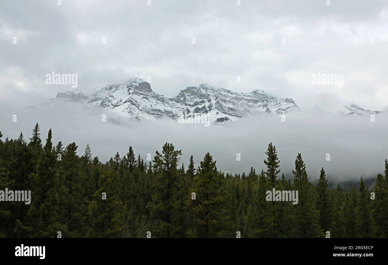 Forest erosion canada hi-res stock photography and images - Alamy