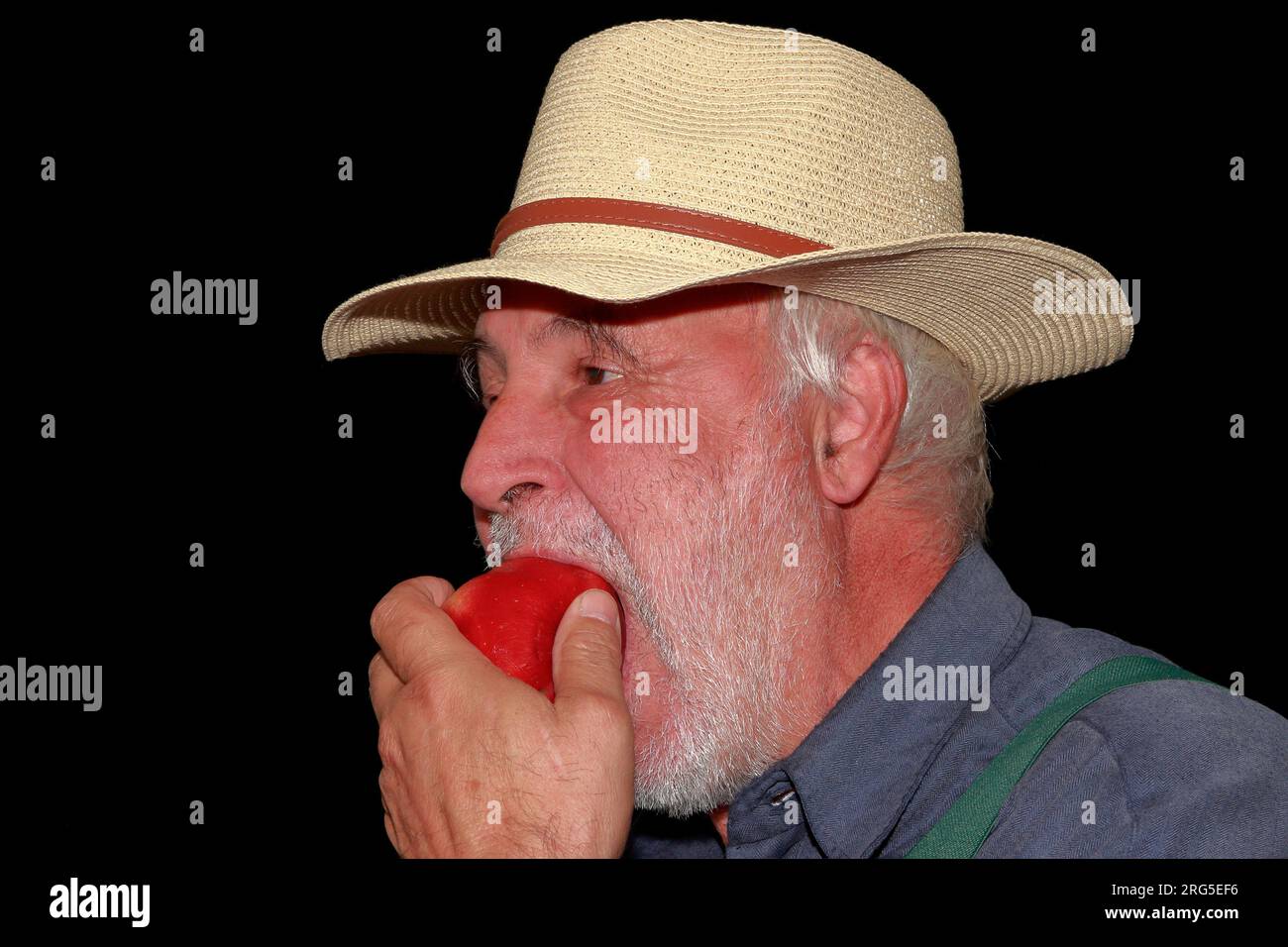 Senior farmer with a straw hat takes a hearty bite of his beautifully ...