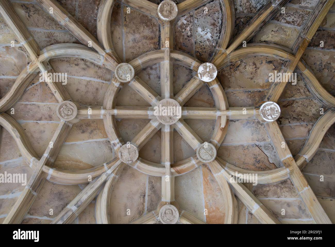 Gothic Cathedral Ceiling