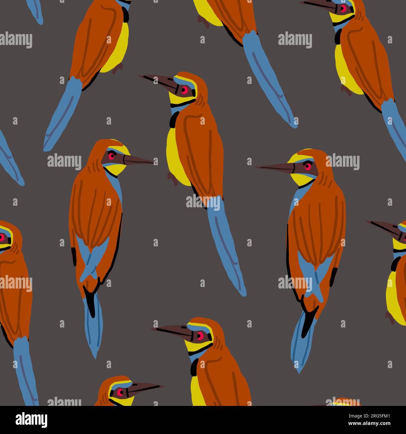 Seamless pattern with Bee-eater bird on dark grey. Vector illustration ...