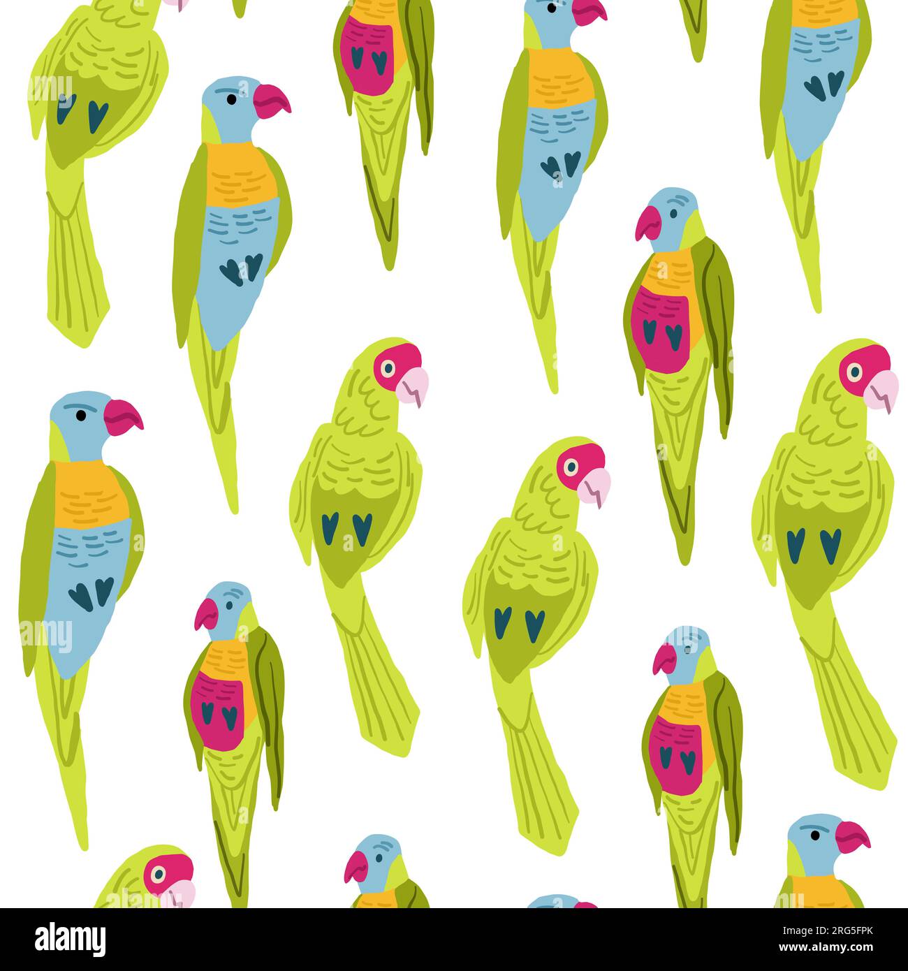 Eclectus parrot vector seamless pattern on white. Exotic bird pattern ...