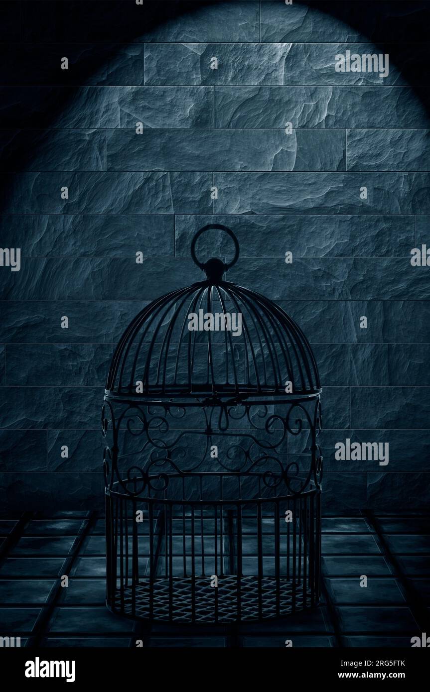 Empty bird cage hi-res stock photography and images - Alamy