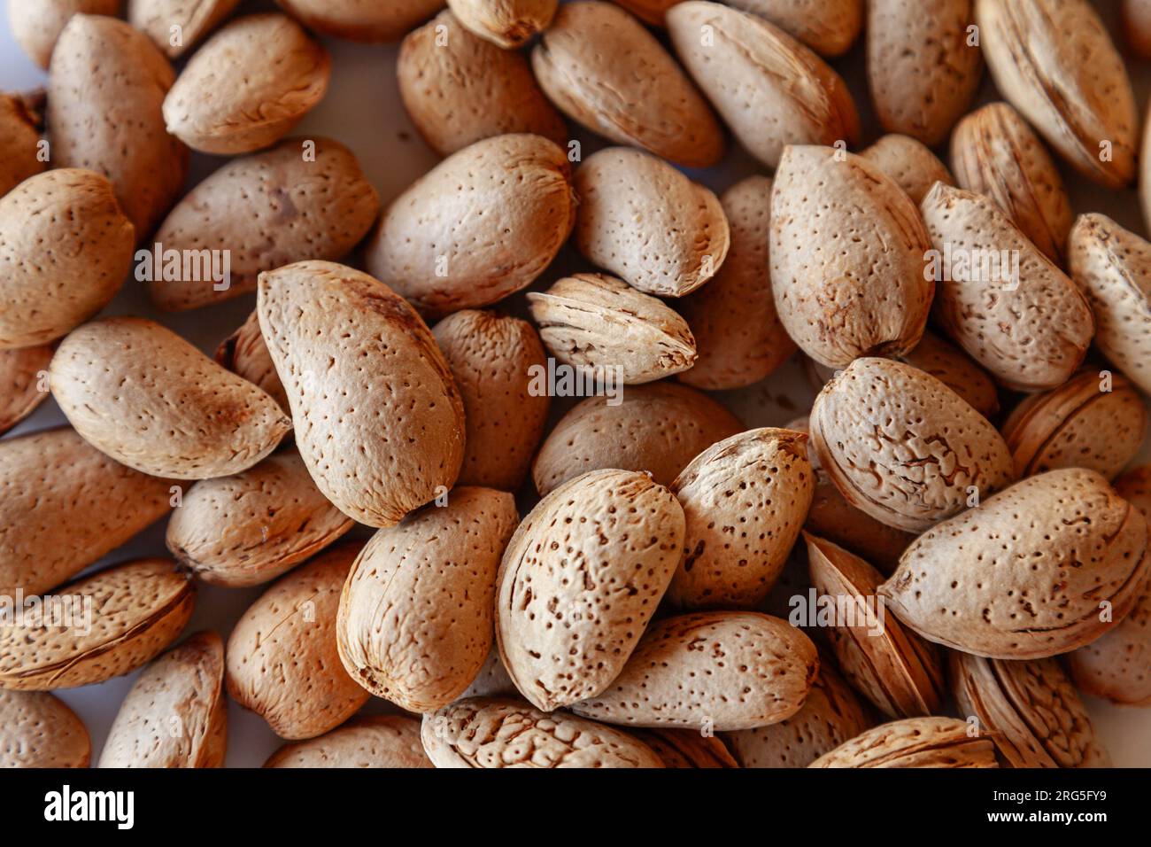 Top of view of whole almonds in the shell. Background of almonds in the ...