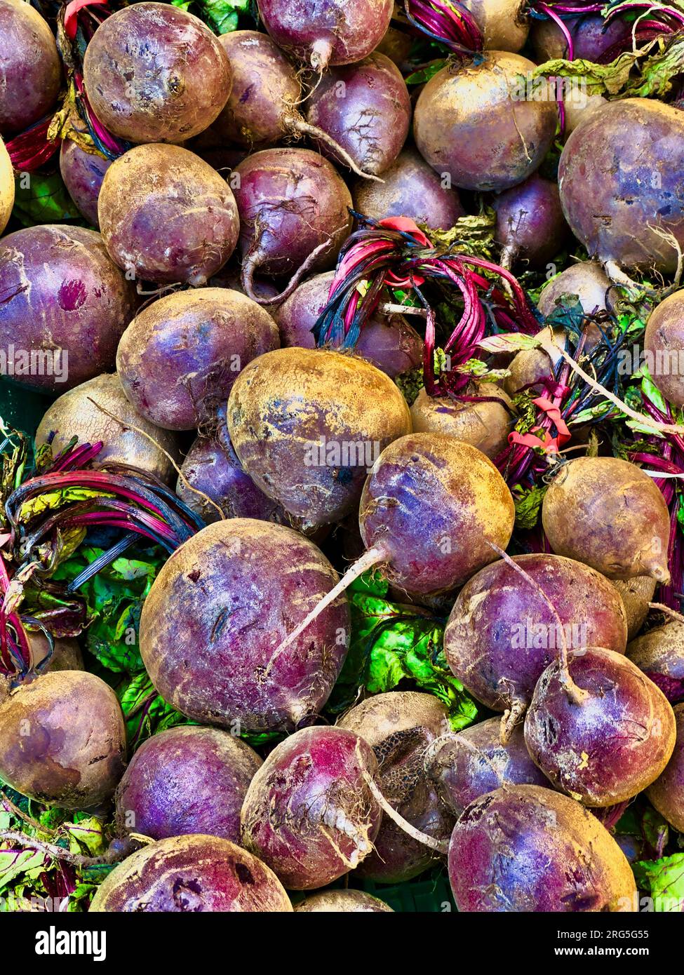 Raw beetroot hi-res stock photography and images - Alamy