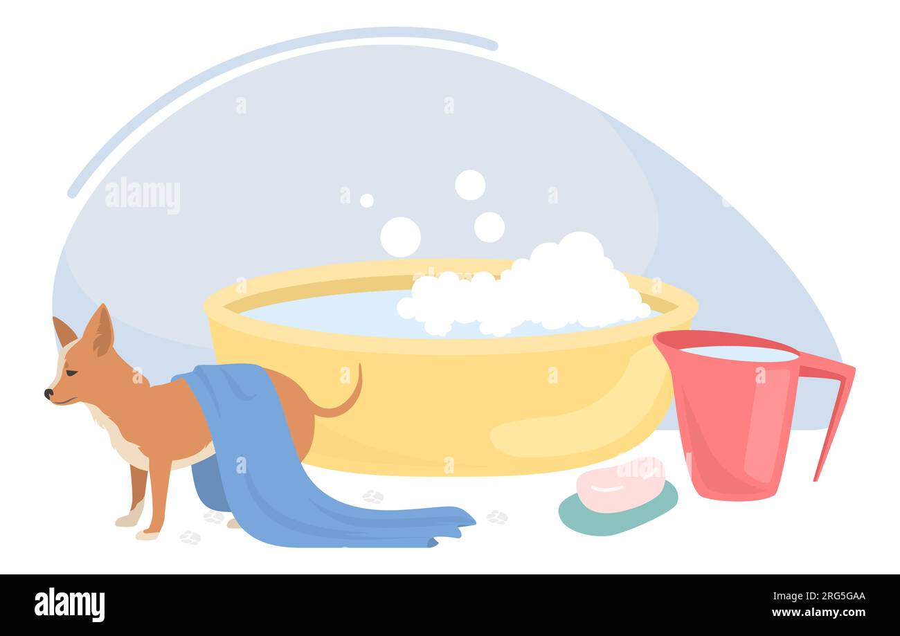 Clean animal vector dog washing flat illustration Stock Vector Image ...