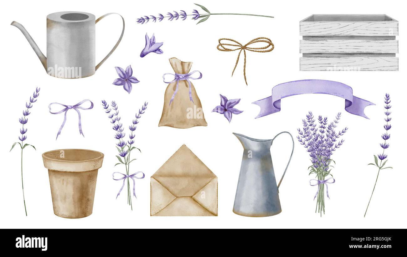 Lavender Floral set. Hand drawn watercolor illustrations of wild ...