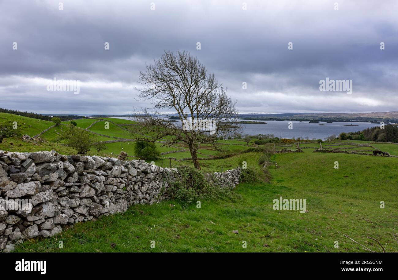 Landscape in Ireland Stock Photo - Alamy