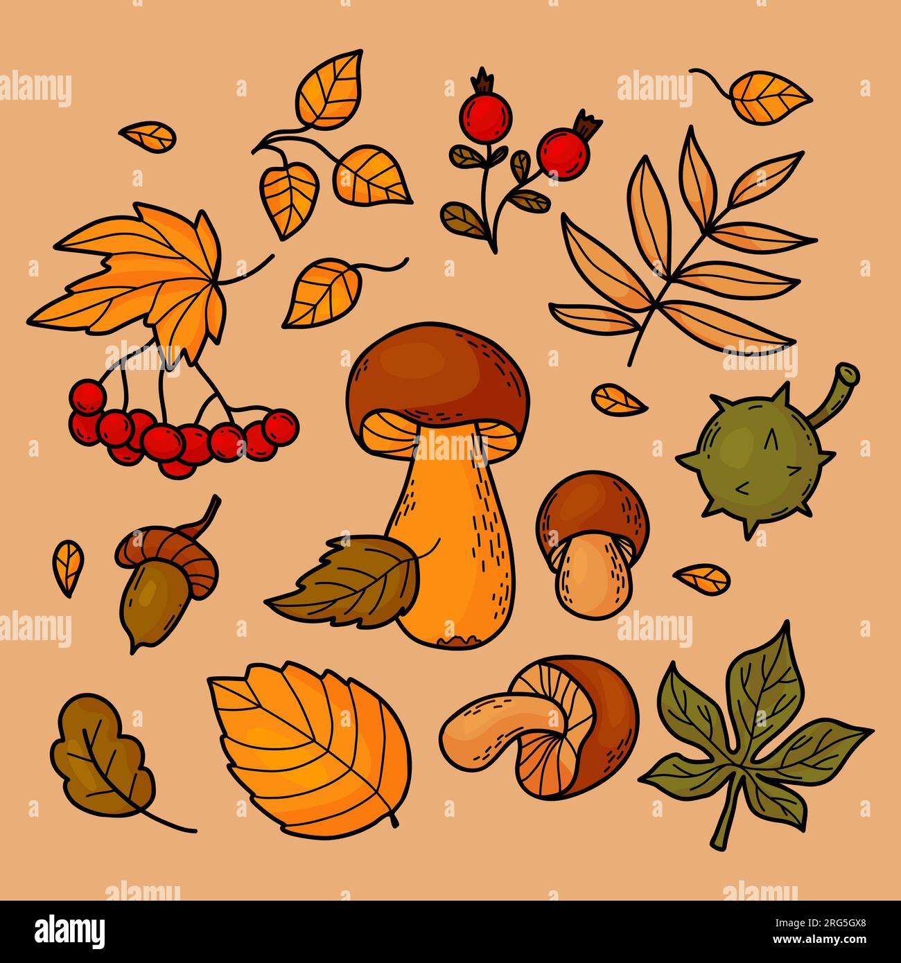 Colorful Mushroom Forest Drawings