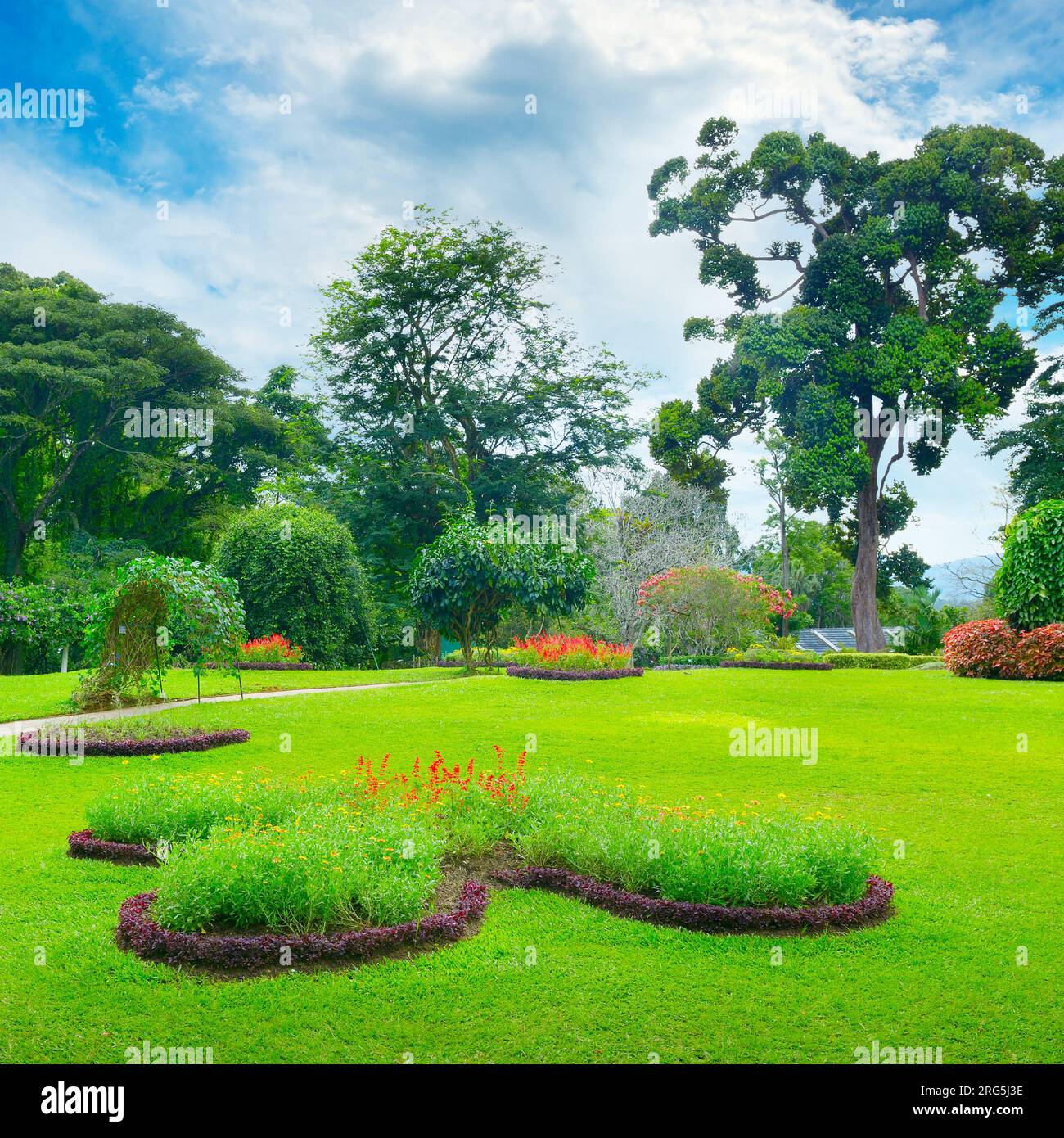Beautiful green park different hi-res stock photography and images - Alamy