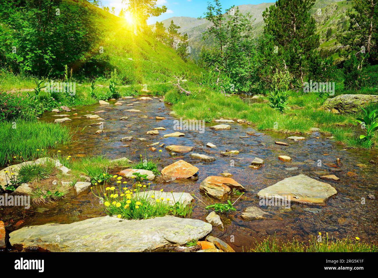 Spring stream in beautiful picturesque hi-res stock photography and ...
