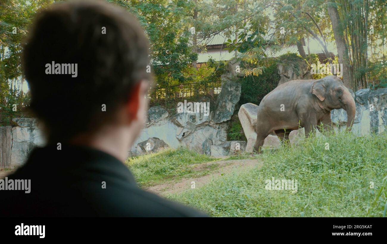 Man observing wild animals hi-res stock photography and images - Alamy