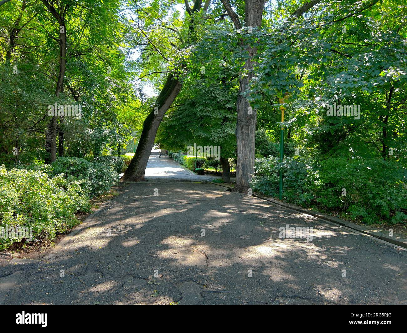 Forest in village Marmashen, Shirak Province of Armenia Stock Photo - Alamy