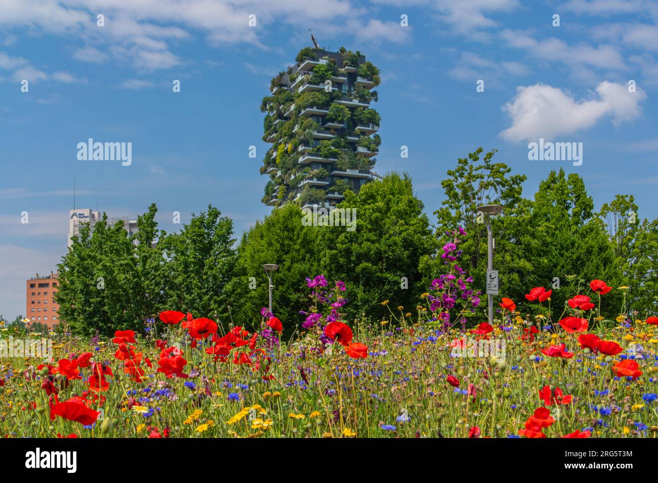 Milan, Italy May 21.2023: Flower field at the Bosco Verticale, view at ...